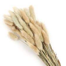 Natural Bunny Tail Wheat Bundle | Farm Charm